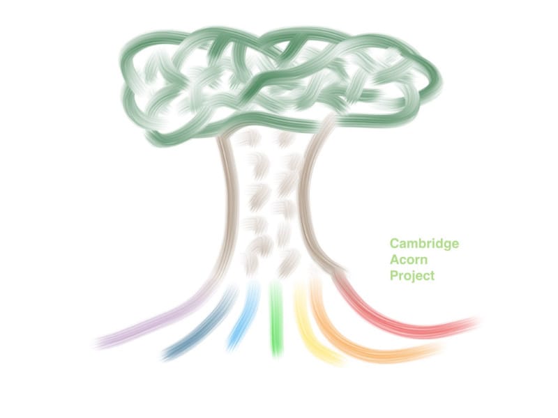 Cambridge Acorn Project | Resilience Web